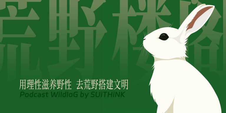 Podcast – SUiTHiNK